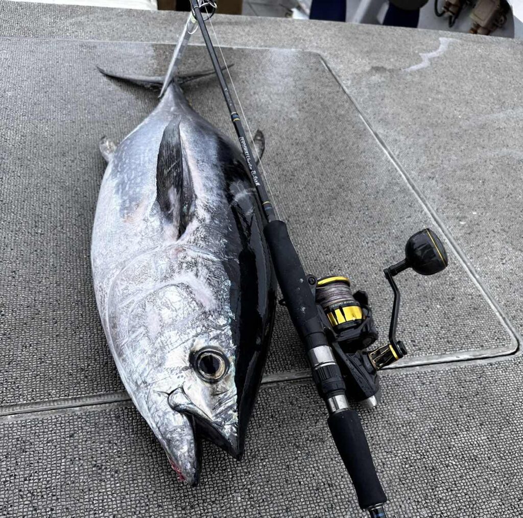2023年度 年末ご挨拶&Newジギングタックル考察 - ZENITH（ゼニス）：ロッド